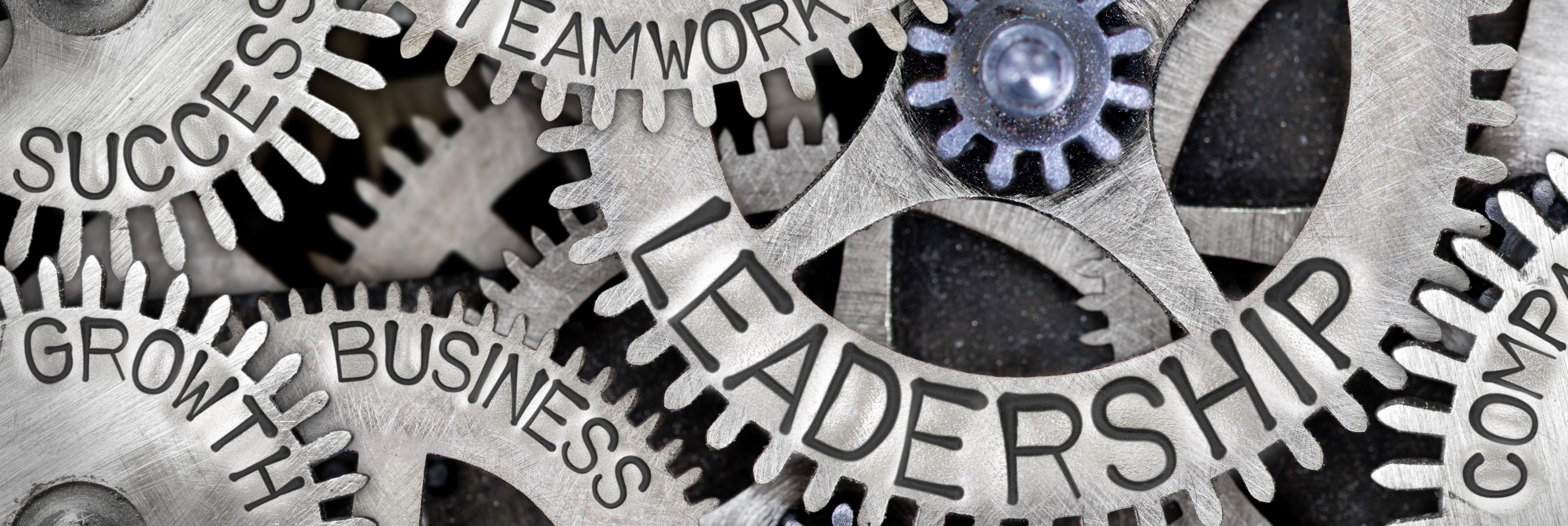 Coaching Gears – Corporate Performance Group